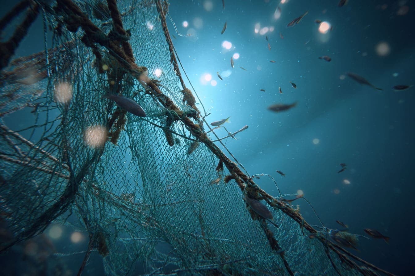 Ghost Nets: The Ocean's Silent Killers | Fathom & Fjord